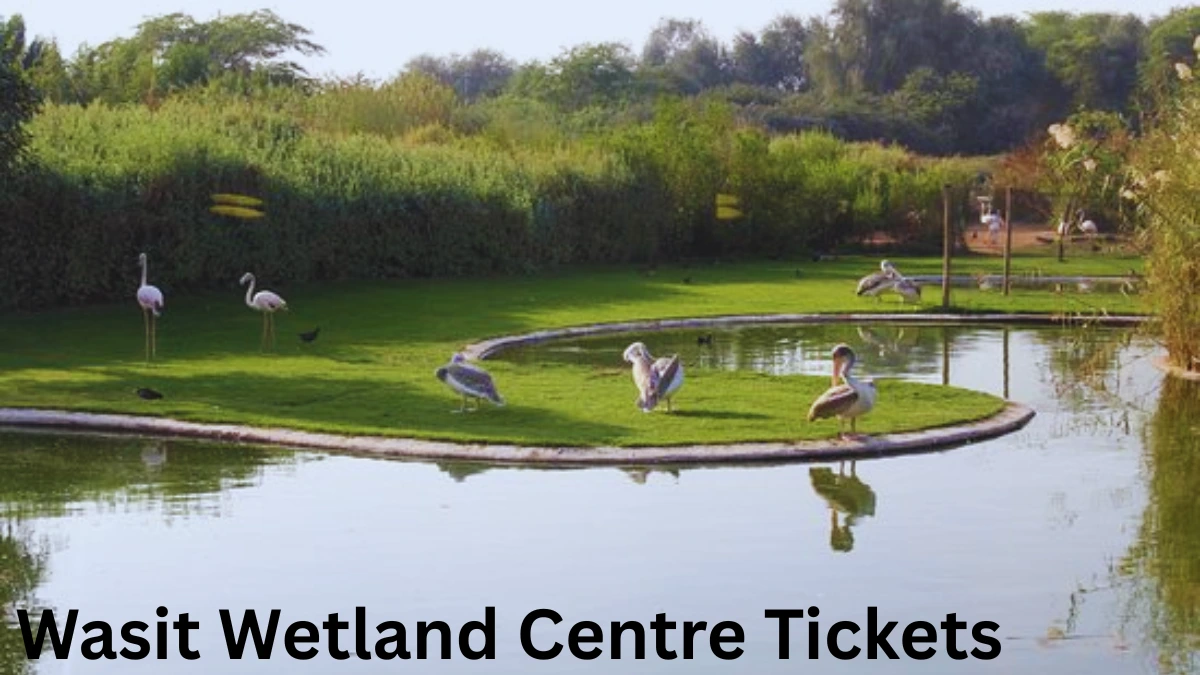 MPCA Indore Tickets 2026 - Dubai News & Latest Updates