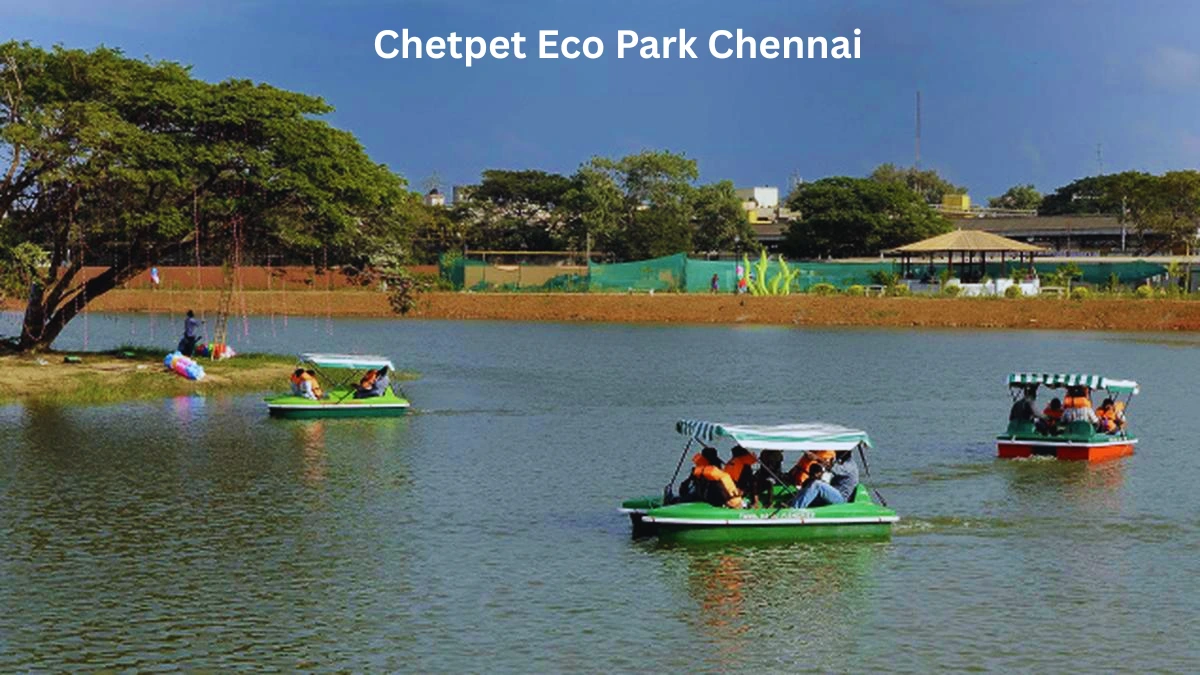 #1 Chetpet Eco Park Chennai – Entry Fee, Timings, Boating & Aquarium ...