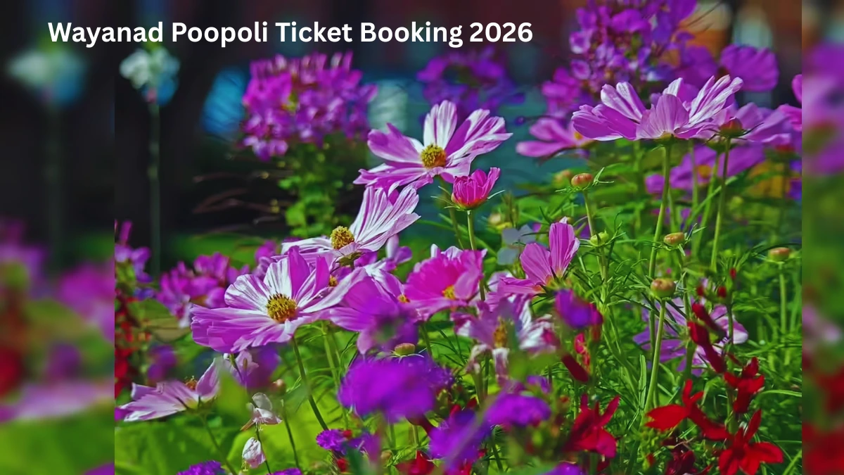 India vs South Africa Raipur Tickets 2025 – Price, Booking, and Stadium ...